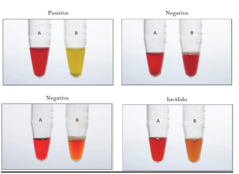 Detección de resistencia :: BGNNF